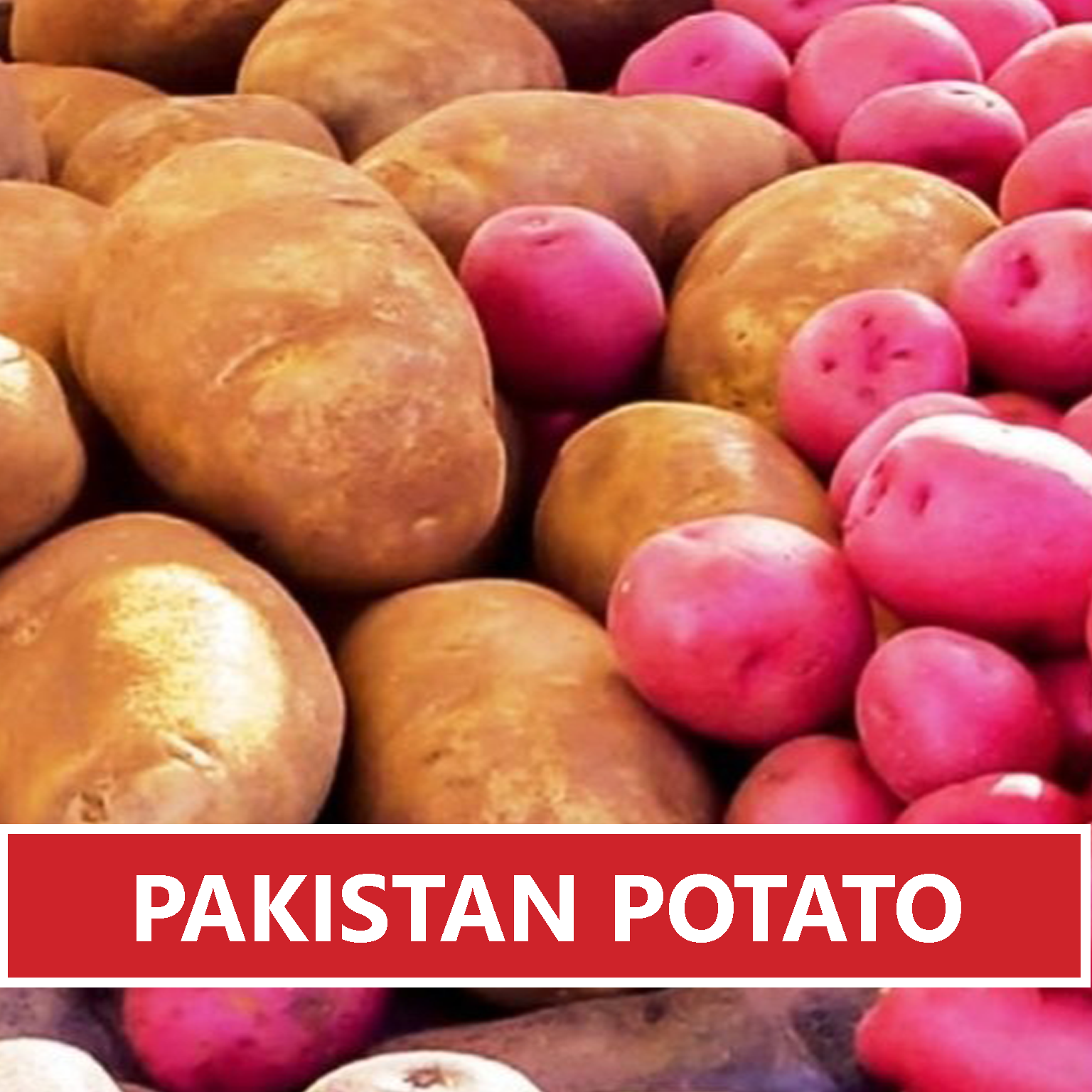 Home - International Food & Agriculture Exhibition