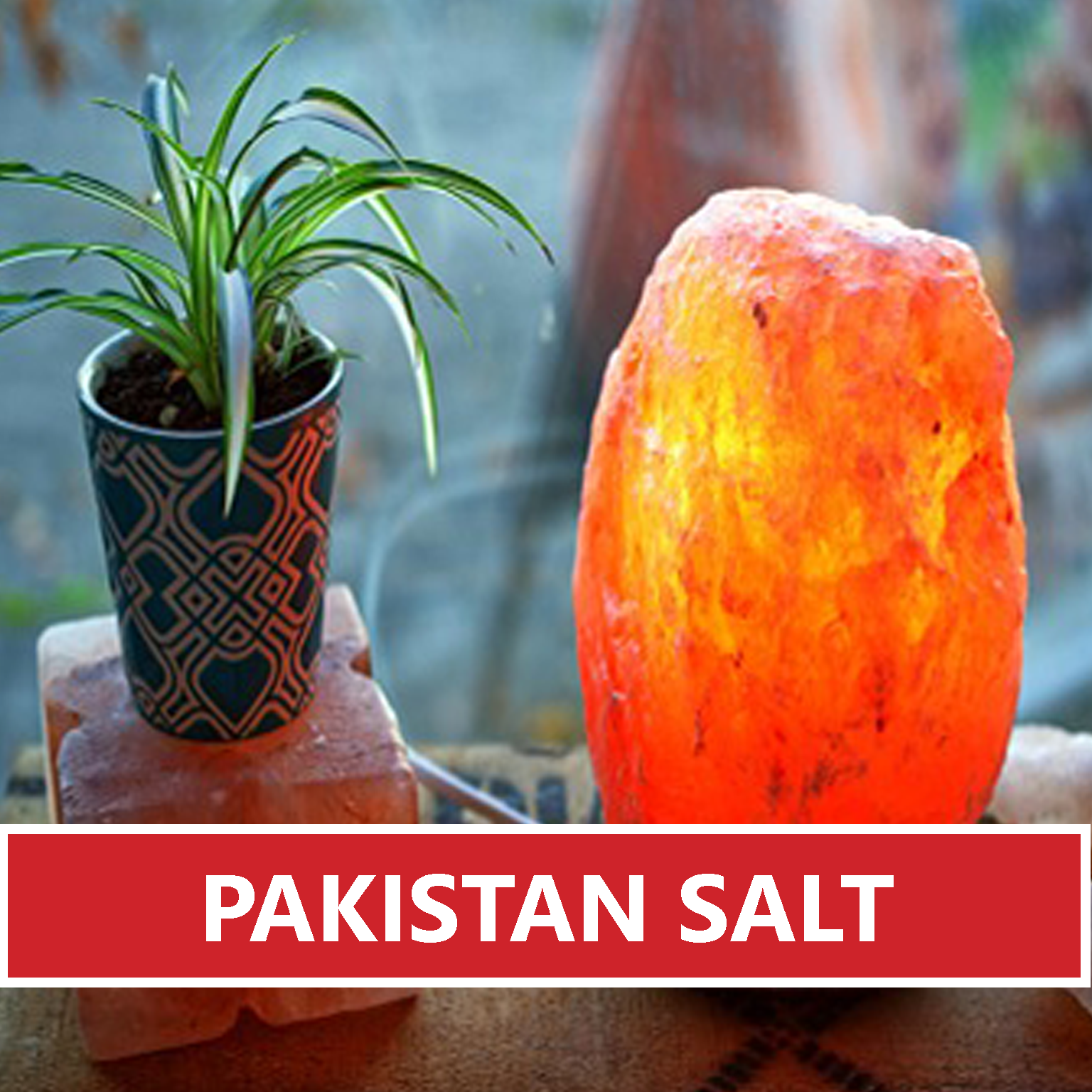 Home - International Food & Agriculture Exhibition