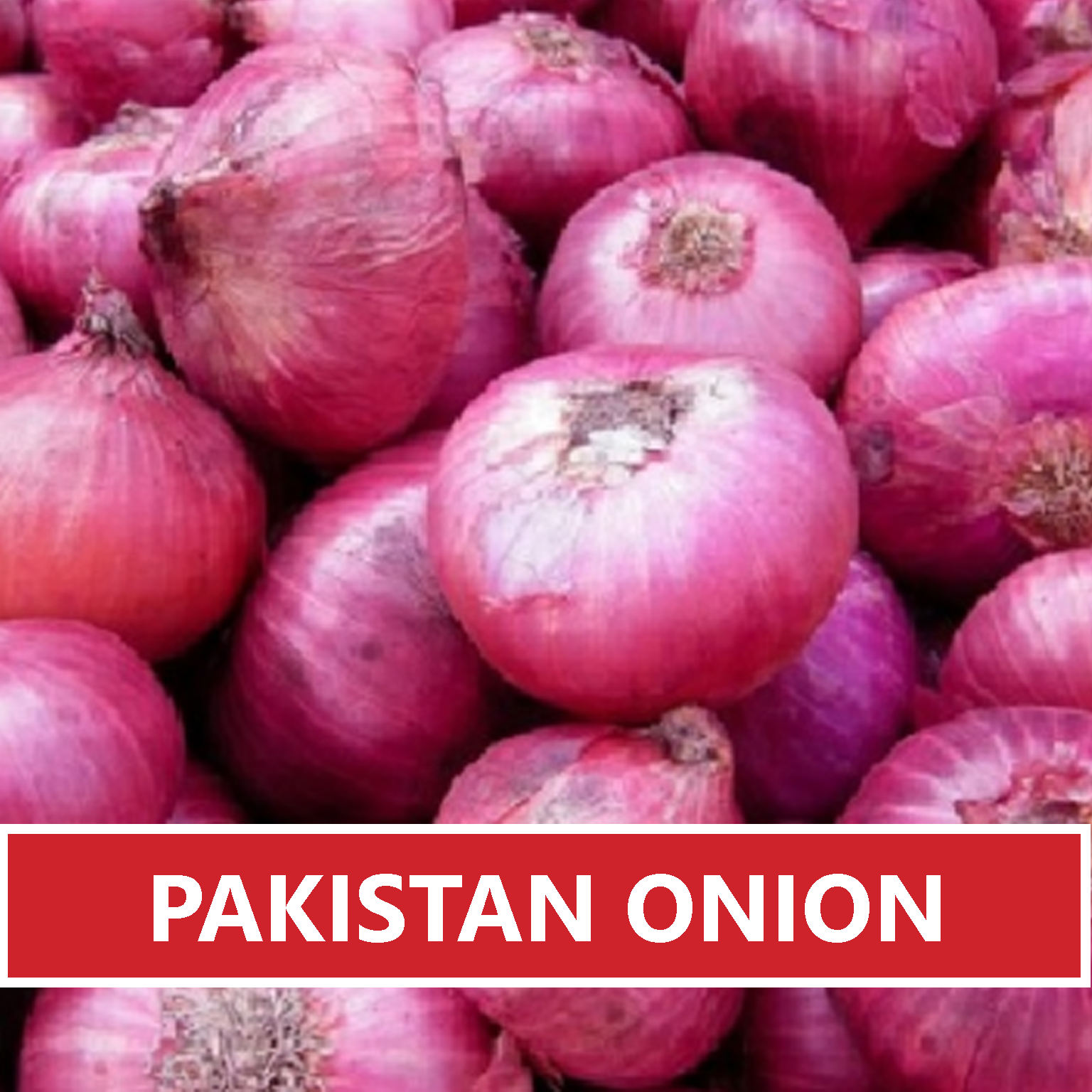 Home - International Food & Agriculture Exhibition