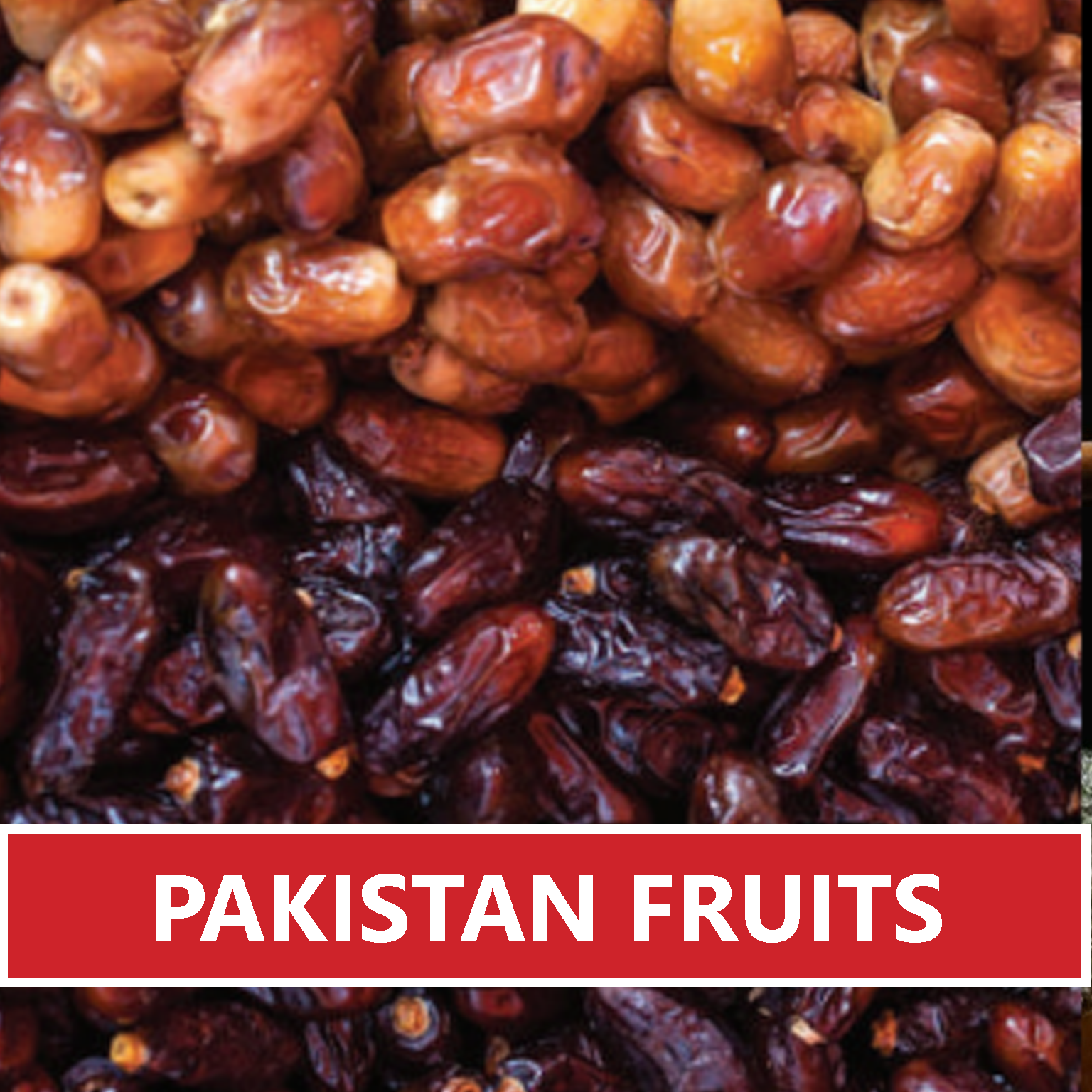 Home - International Food & Agriculture Exhibition